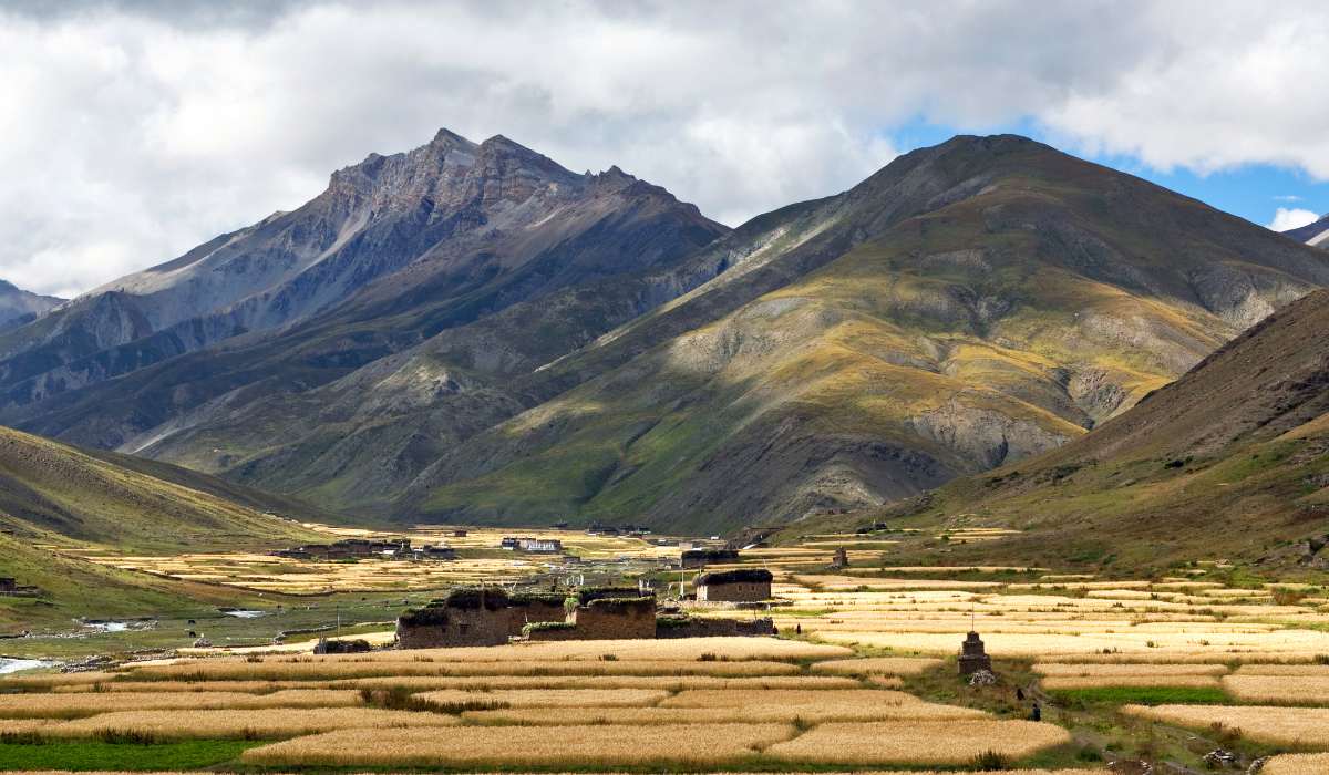 Dho Tarap Dolpo: The Wonders of Dolpo's Tarap Valley