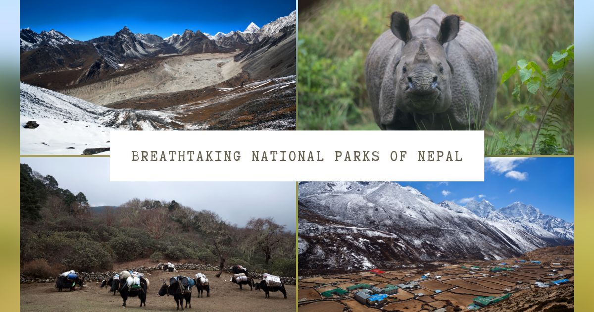 8 Breathtaking National Parks Visit in Nepal
